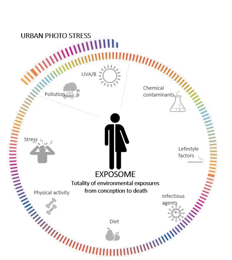 The exposome, a daily challenge for the skin - microphyt