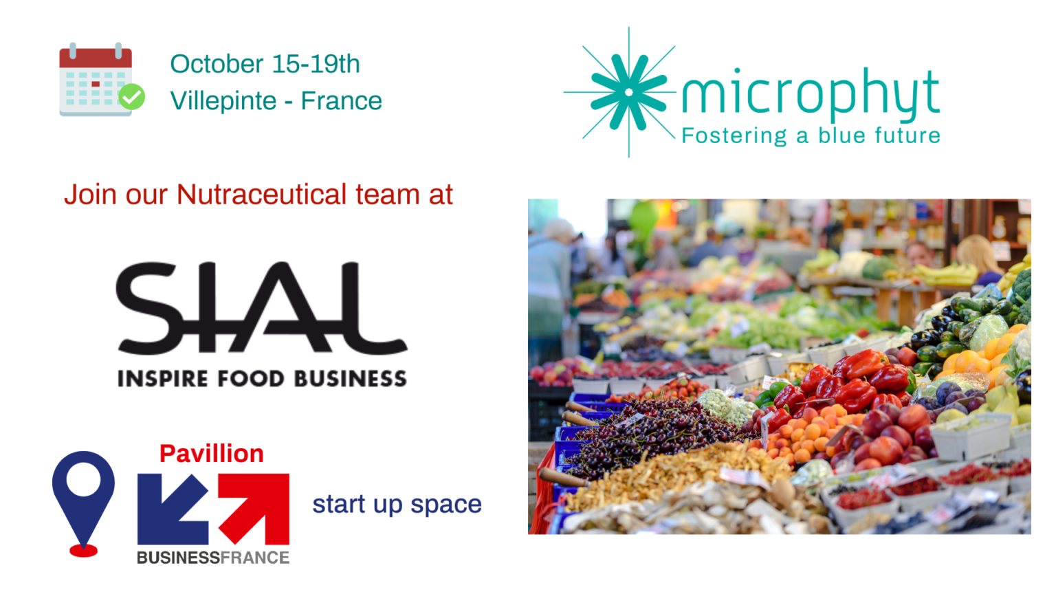 Rejoignez-nous cet automne ! 🍂 - microphyt