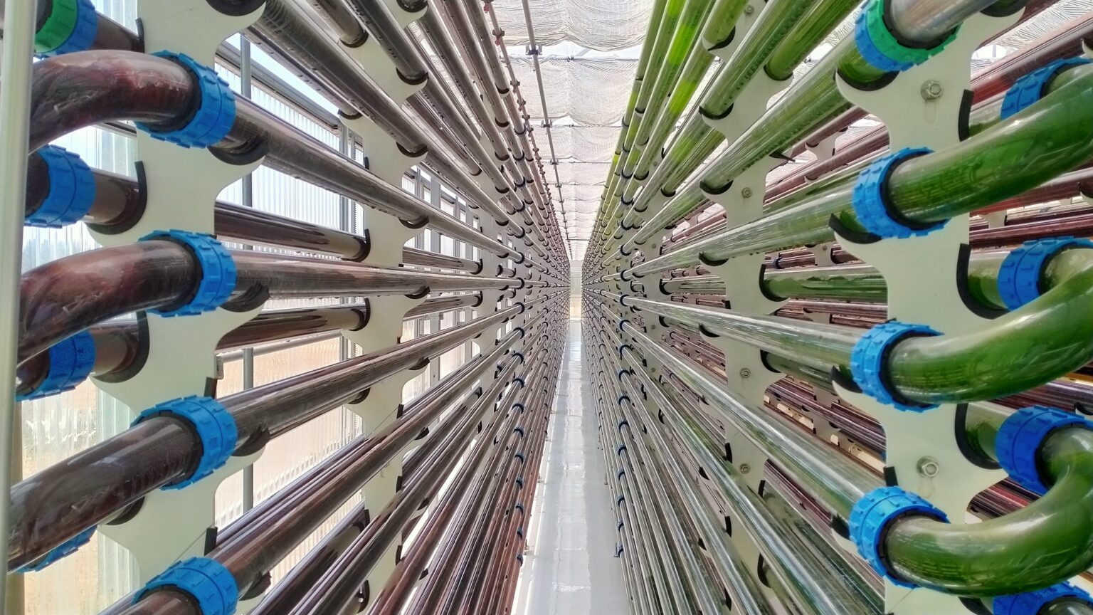 Microphyt, the microalgae expert, celebrates 15 years old : from ...